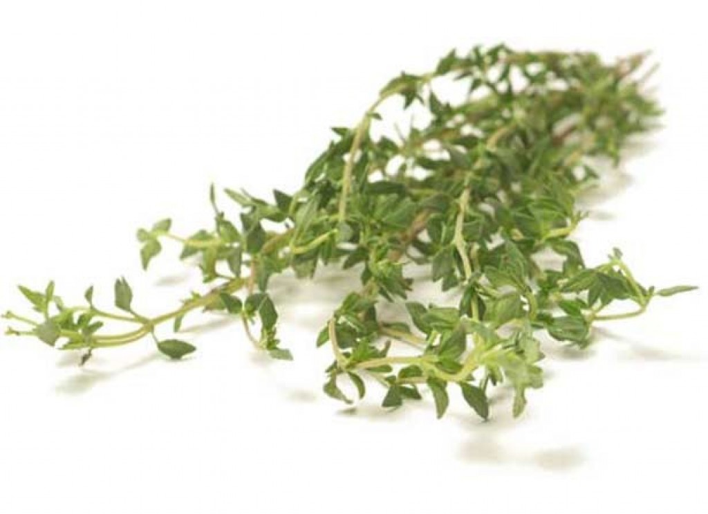 Catalogue - Produit Thym citron